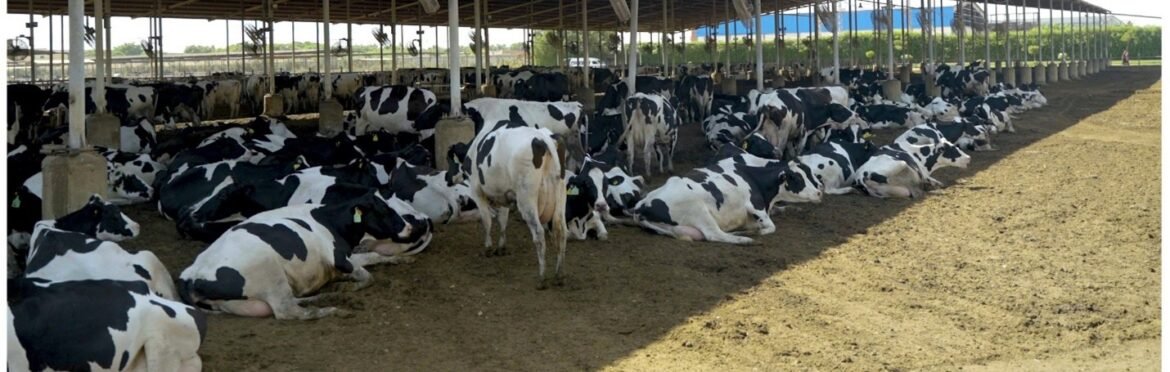 Sustainable Agri Food Systems Climate Vision Consulting